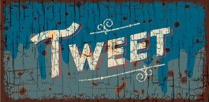 11 Terrific Twitter Profile Designs for Inspiration