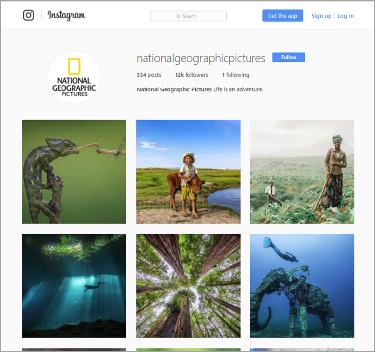 Why Visual Storytelling is the Best Way to Build Authentic Engagement